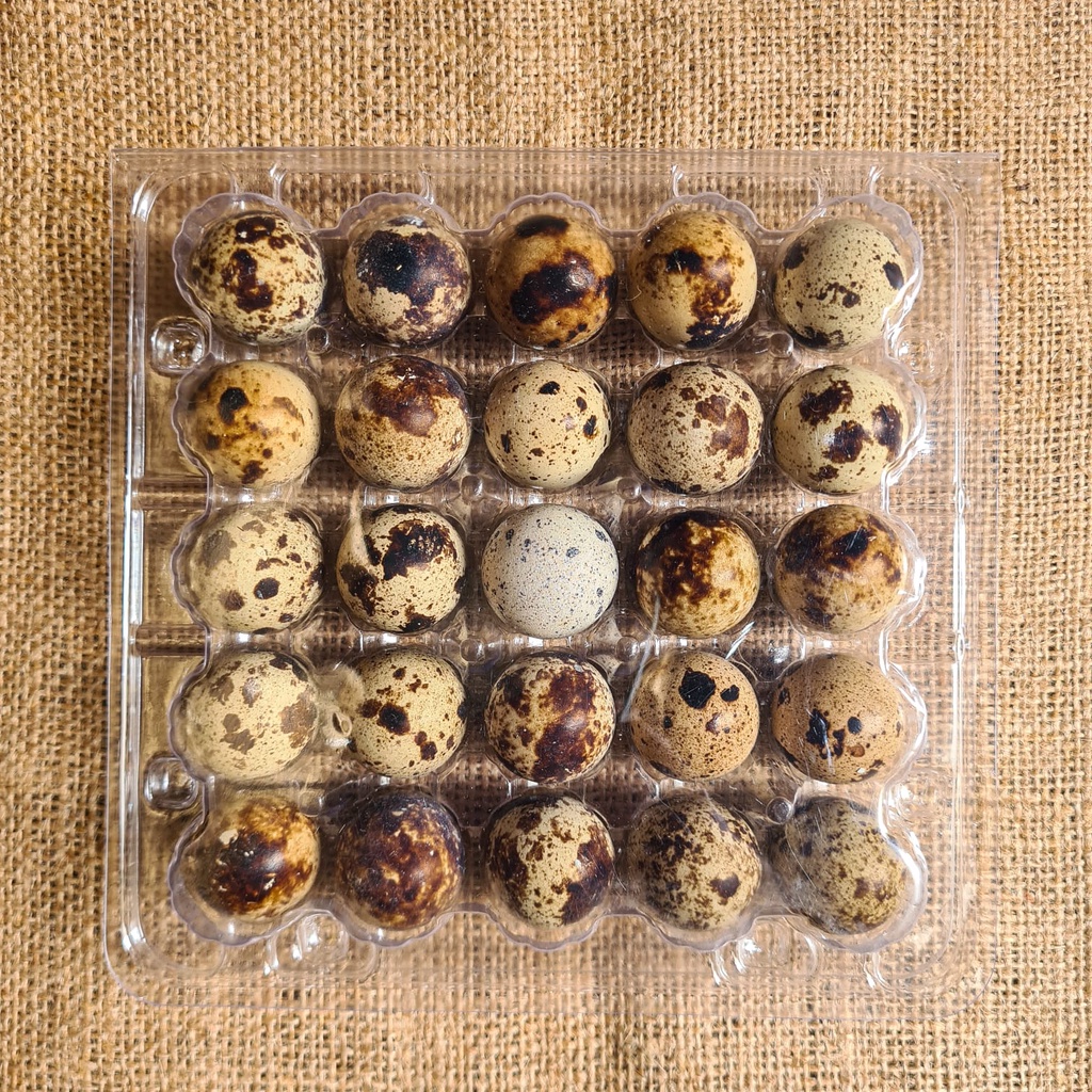 Jual PAKET TELUR PUYUH ISI 20 DAN 25 - TELUR ASIN MR | Shopee Indonesia