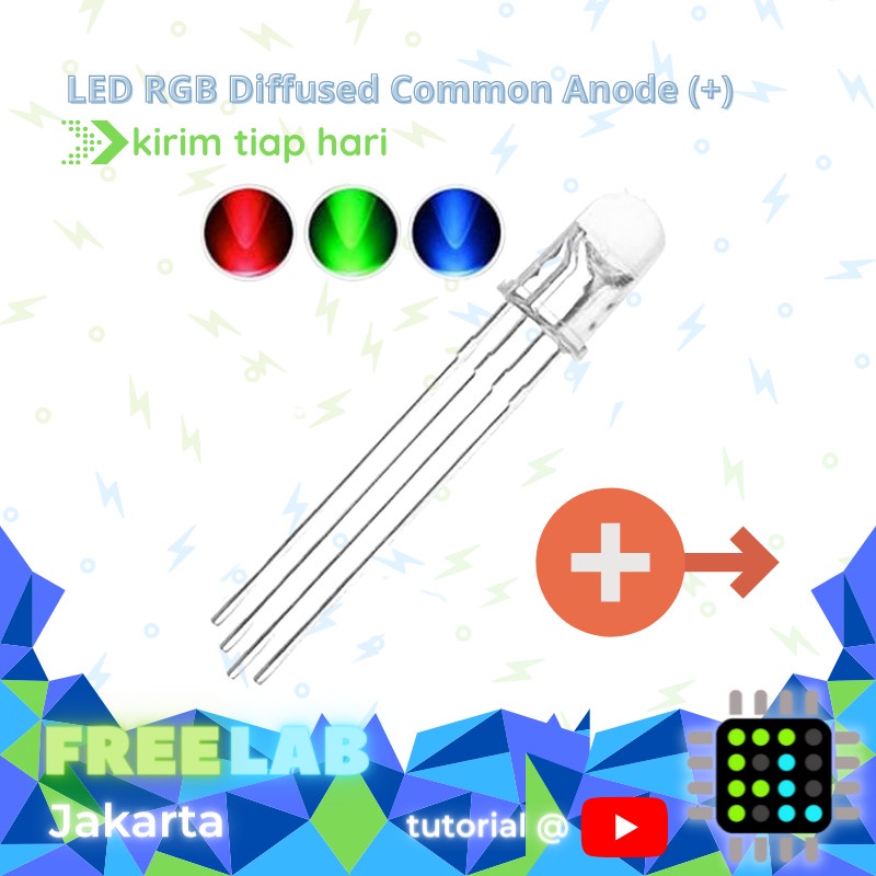 Jual LED RGB Diffused Common Anode 5mm 4 kaki Multicolor Ultra Bright ...