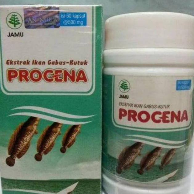 Jual PROCENA Ekstrak Ikan Gabus Kutuk ( Izin POM ) | Shopee Indonesia