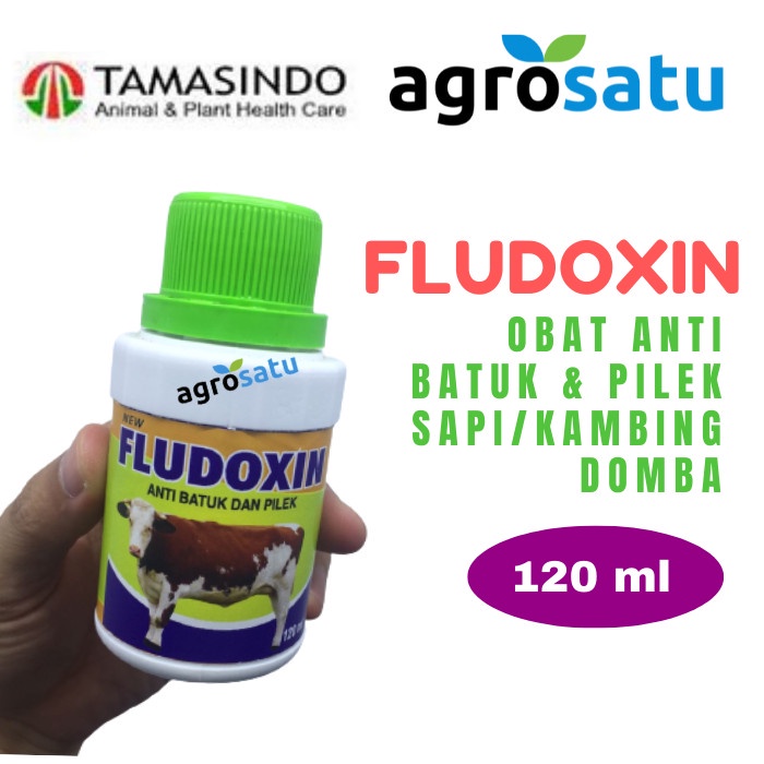 Jual Obat Flu Batuk Pilek FLUDOXIN Sapi Kambing Domba Kuda Hewan Ternak ...