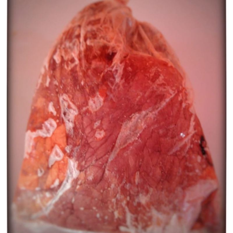 Jual paru sapi fresh 1 kilogram | Shopee Indonesia