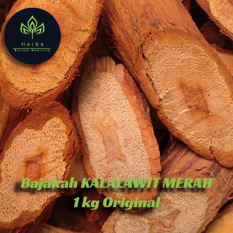 Jual Akar bajakah-kayu bajakah-kayu bajaka-bajakah-bajaka[KALALAWIT ...