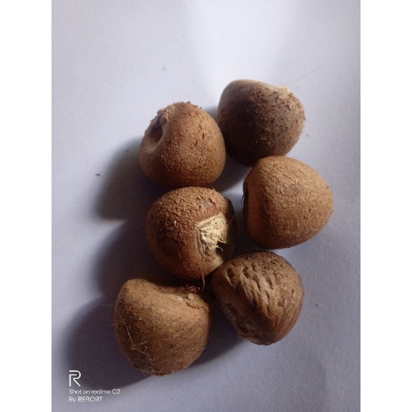 Jual Biji buah pinang tua per 250 gram | Shopee Indonesia