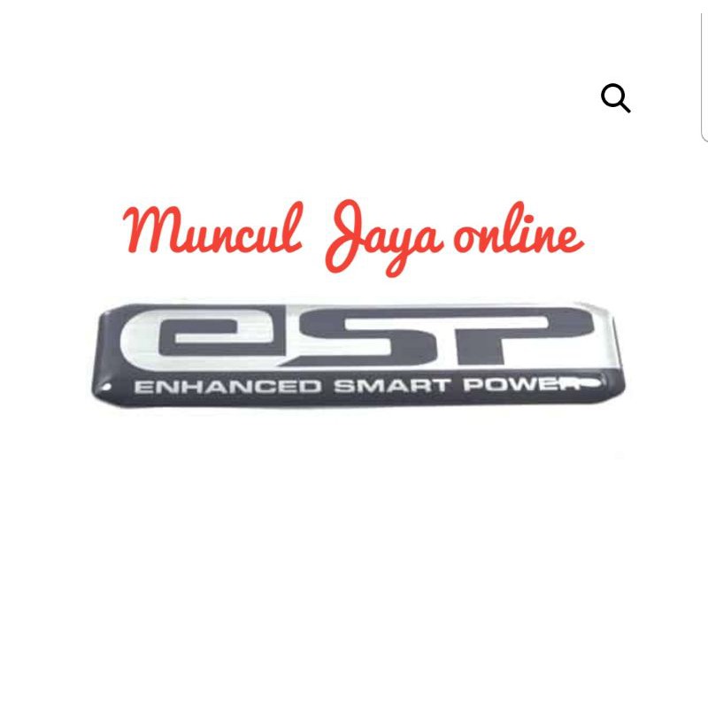 Jual Emblem Stiker Label ESP Honda Mark Engine 86170-KZR-600 | Shopee ...