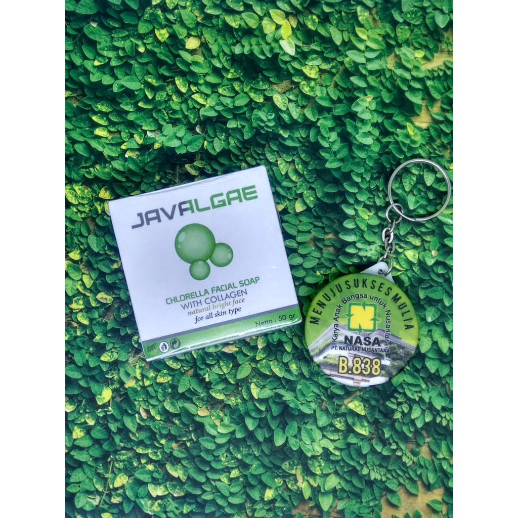 Jual SABUN JAVALGAE NASA | Shopee Indonesia