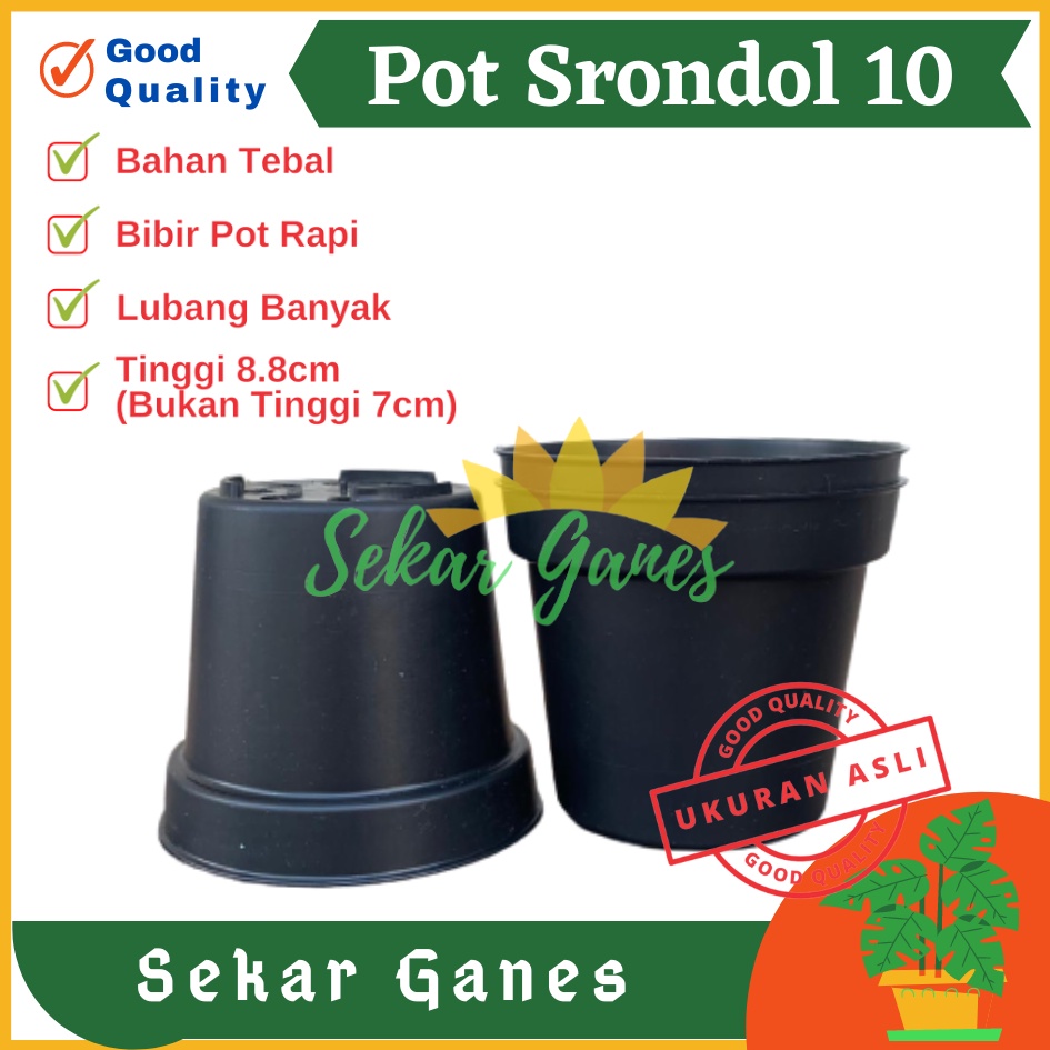 Jual Pot 10cm Hitam Murah - Pot Bulat Mini Kecil Bisa Untuk Vas Bunga ...