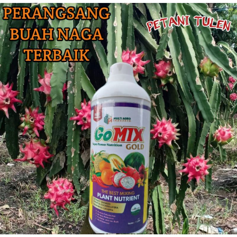 Jual pupuk pelebat bunga buah naga gomix gold perangsang bunga buah ...