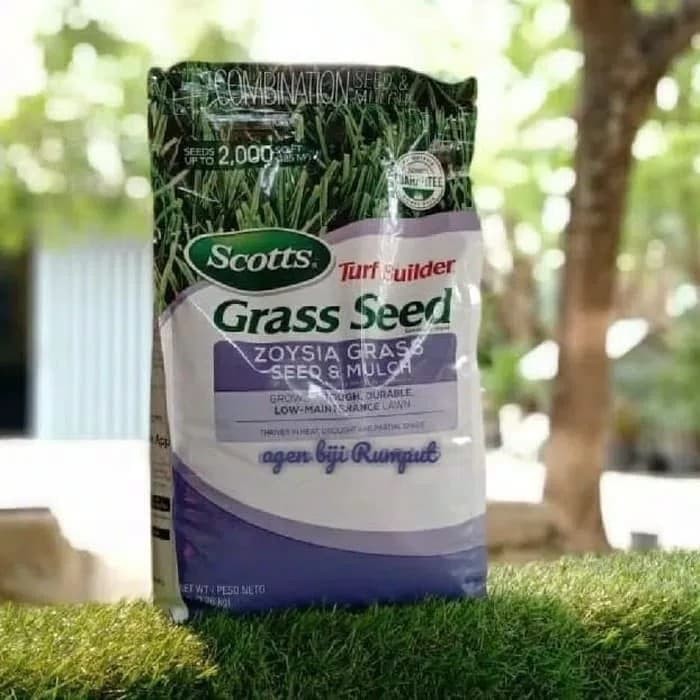 Jual biji rumput zoysia 100gr -benih biji rumput lapangan sepak bola ...