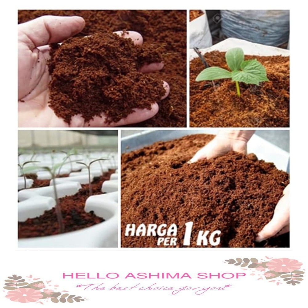 Jual Cocopeat Media Tanam Pertanian Hidroponik Cocopit kokopit Sabut ...