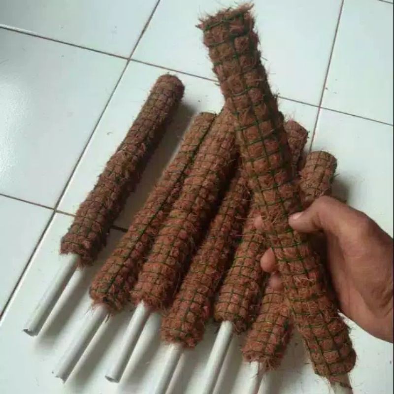 Jual turus penyanggah pohon merambat ukuran 30cm | Shopee Indonesia