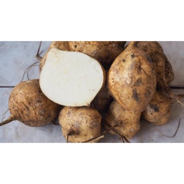 Jual Bengkuang 1kg | Shopee Indonesia