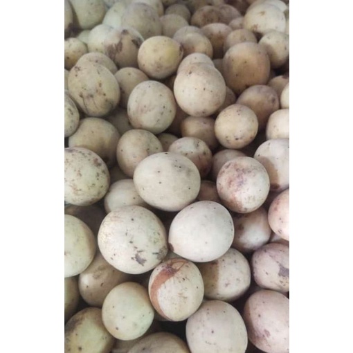 Jual Buah DUKU Palembang Premium Manis Segar sekilo | Shopee Indonesia