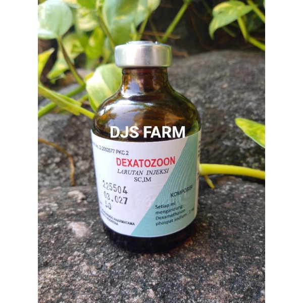 Jual Dexatozoon 100 ml Wonder Obat Anti radang Analgesik Antialergi ...