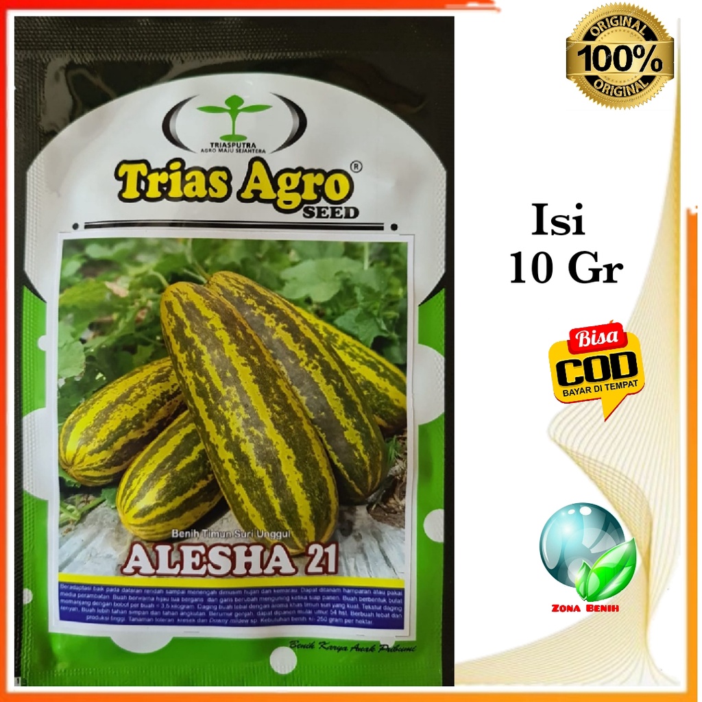 Jual Bibit Timun Suri ALESHA 21 Kemasan 10 Gram Benih Timun Suri Unggul Timun Suri | Shopee ...
