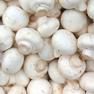Jual PASAR ONLINE MURAH - JAMUR KANCING / JAMUR CHAMPIGNO 250GR ...