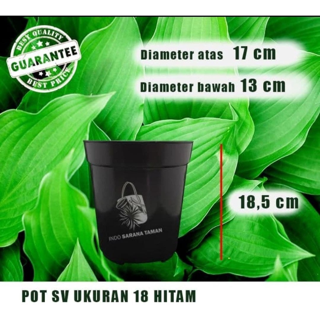 Jual POT SV 18 HITAM Pot Tinggi Pot Tanaman Pot Bunga Pot Plastik Pot Polos Pot Unik Grosir Pot ...