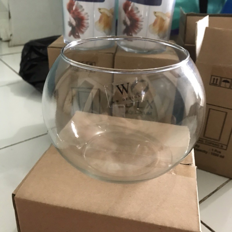 Jual Aquarium mini bulat ikan hias setengah lingkaran koleksi kaca ...