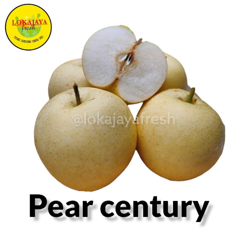 Jual Pear Pir Century Madu Super Manis 1 Kg | Shopee Indonesia