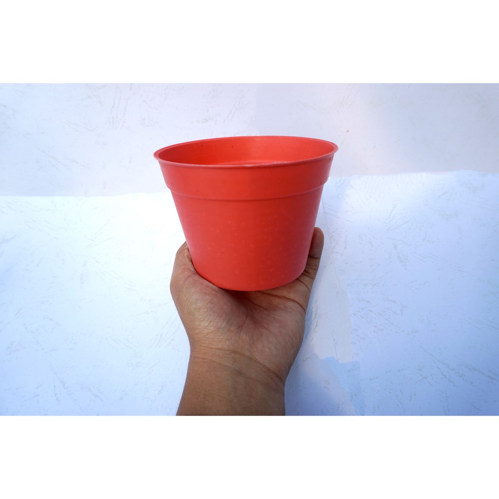 Jual Pot Plastik Warna Merah Diameter 10cm | Shopee Indonesia