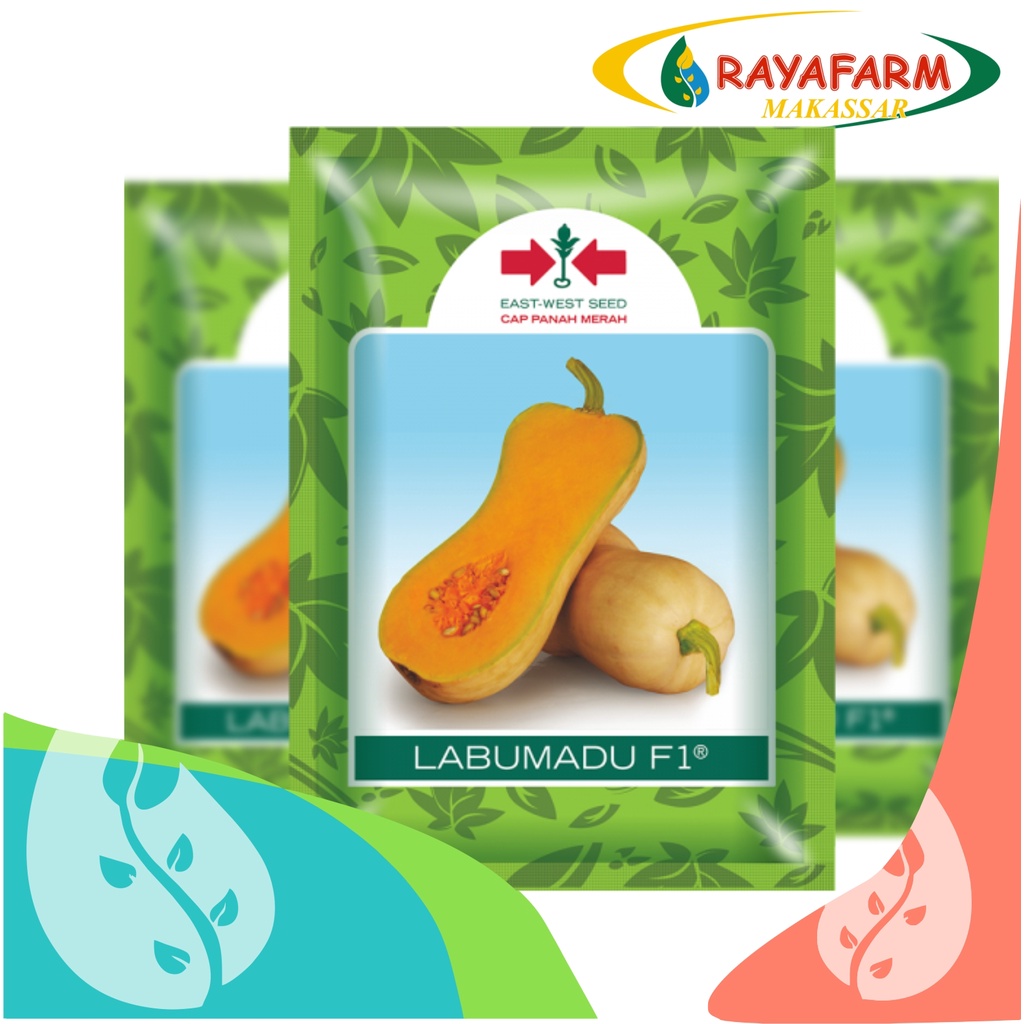 Jual Benih Labu Madu F1 - Cap Panah Merah isi 10 butir | Shopee Indonesia