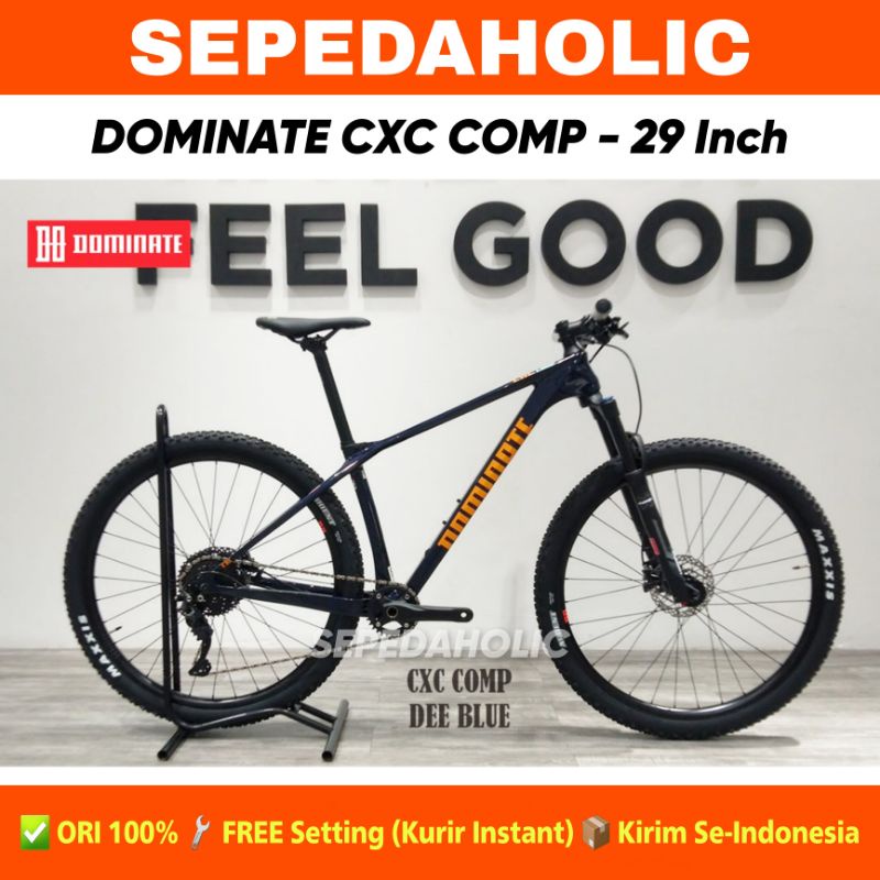 Jual Sepeda Gunung MTB DOMINATE CXC COMP 29 Inch Carbon 10 Speed Hidrolik | Shopee Indonesia