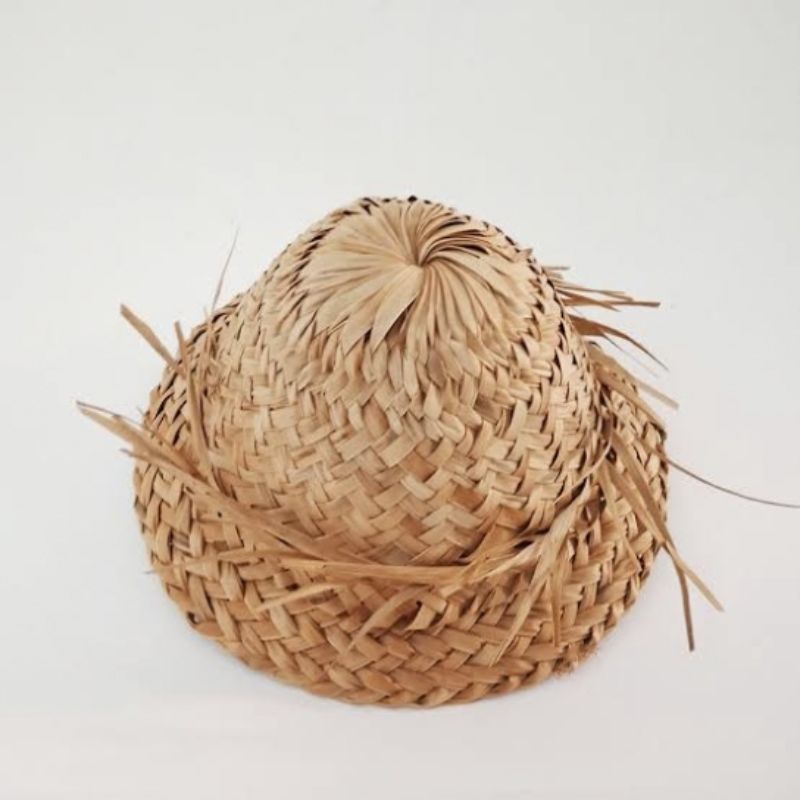 Jual Topi Petani Anyaman Daun Kelapa | Shopee Indonesia