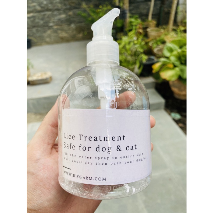 Jual kutu-shampoo- obat untuk kutu lice -shampoo-kutu. | Shopee Indonesia