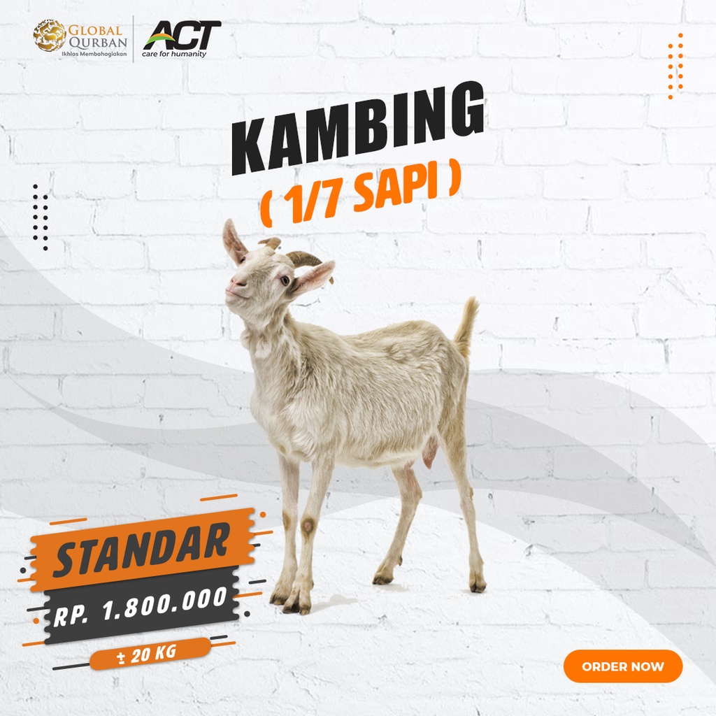 Jual GQ - Qurban 1/7 Sapi (Kambing) tipe Standar | Shopee Indonesia