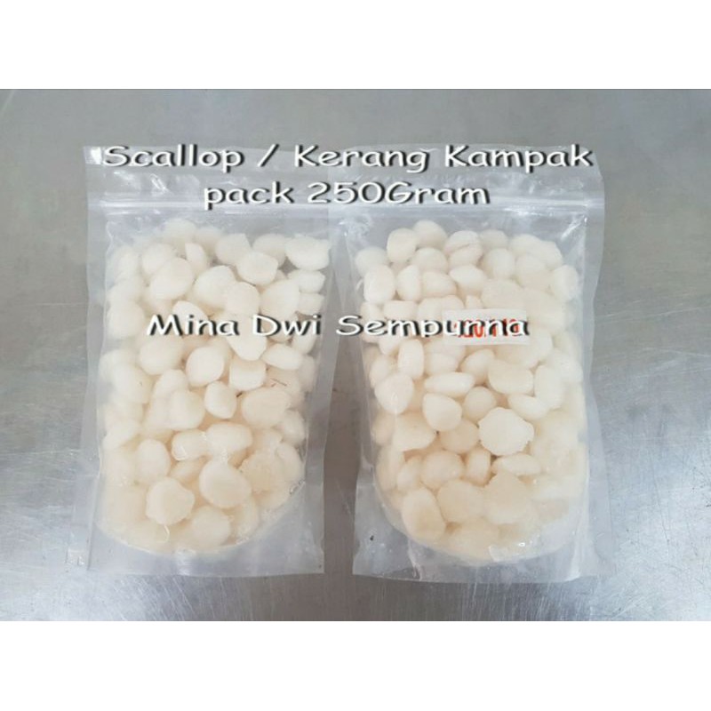 Jual Scallop / Kerang Kampak / Kerang Simping @250gr | Shopee Indonesia