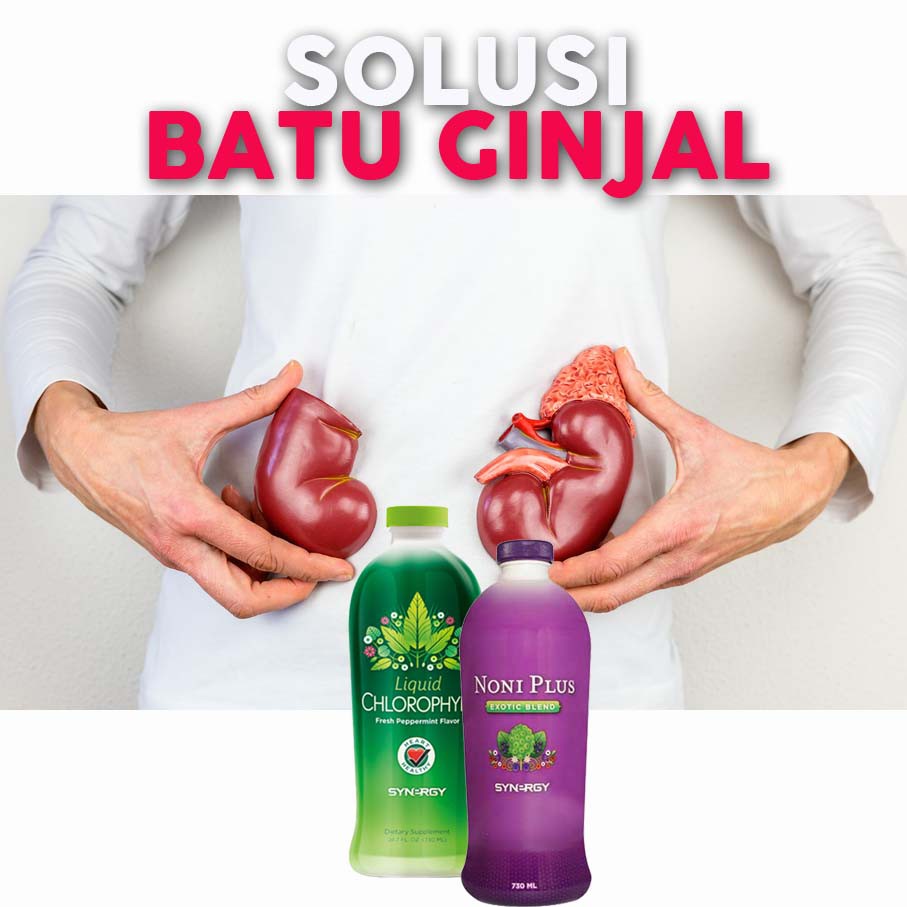 Jual AMPUH! PAKET Obat Herbal Batu Ginjal (NoniPlus+Chlorophyll Synergy ...