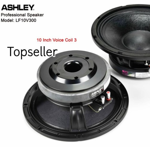 Jual SPEAKER ASHLEY LF 10V 300 | Shopee Indonesia