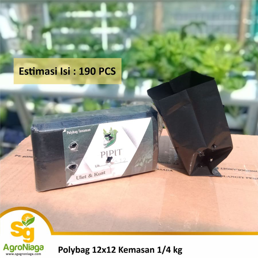 Jual Polybag 12x12 Kemasan 1/4 kg Estimasi isi 190pcs | Shopee Indonesia