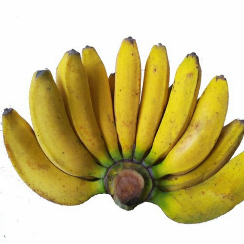 Jual Pisang Raja Bulu Segar / Raja Bulu Fresh 1,5 kg | Shopee Indonesia