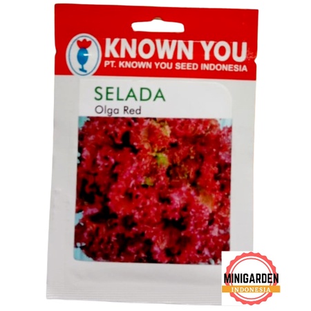Jual SELADA OLGA RED 5 GRAM PACK KECIL biji Benih Selada Merah red Lettuce Known You Seed bibit ...