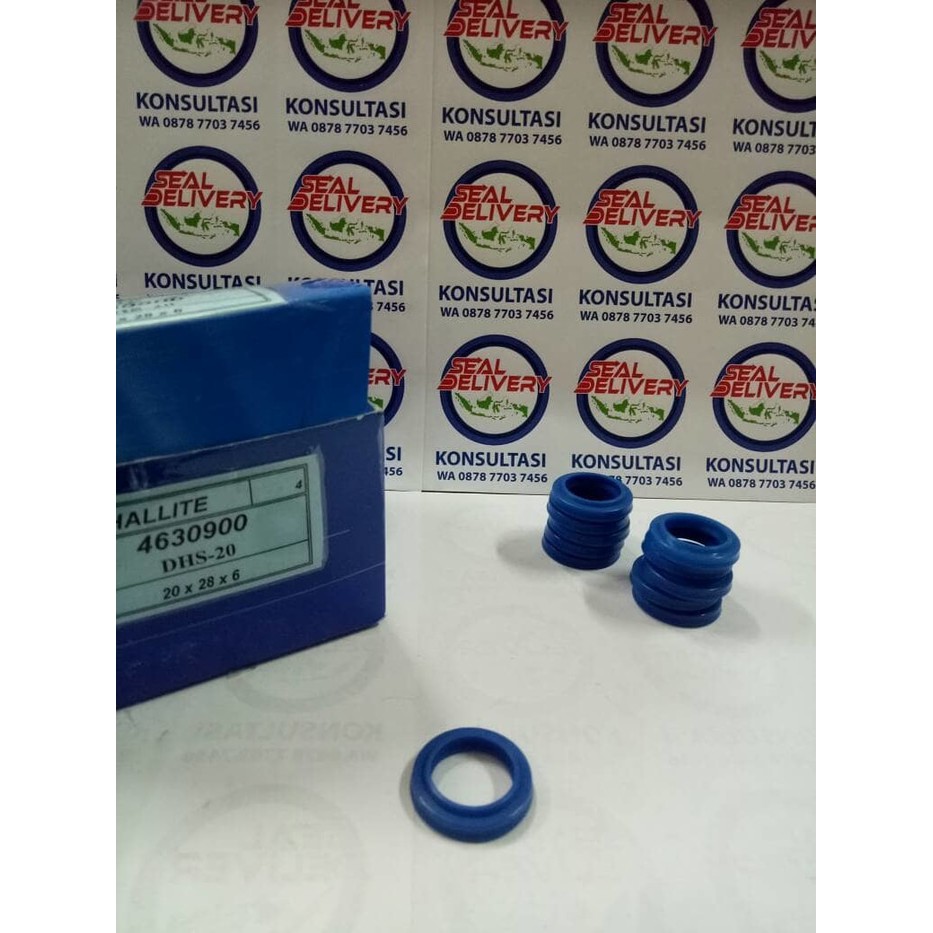Jual DHS 20 Hallite Dust Seal / Seal Debu 4630900 | Shopee Indonesia