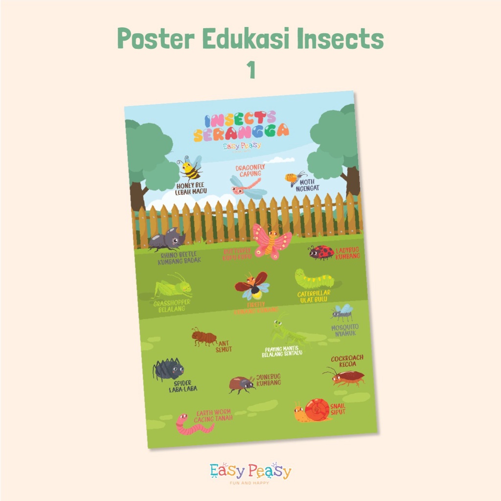 Jual Easy Peasy - Poster Edukasi Anak - Poster Hewan Insekta Serangga ...