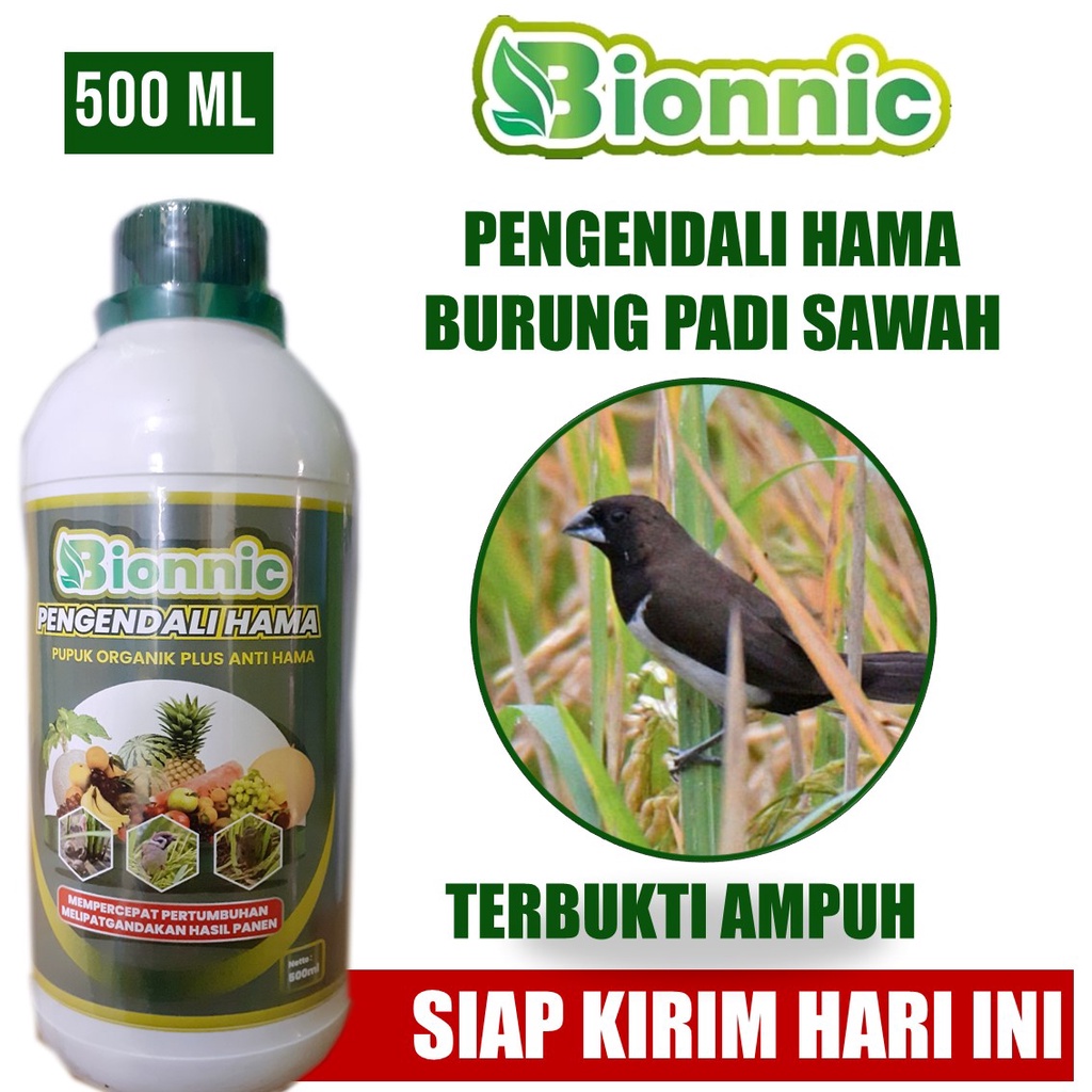 Jual [REKOMENDED] Pupuk Organik Semprot Racun Burung Pipit Terbaik ...