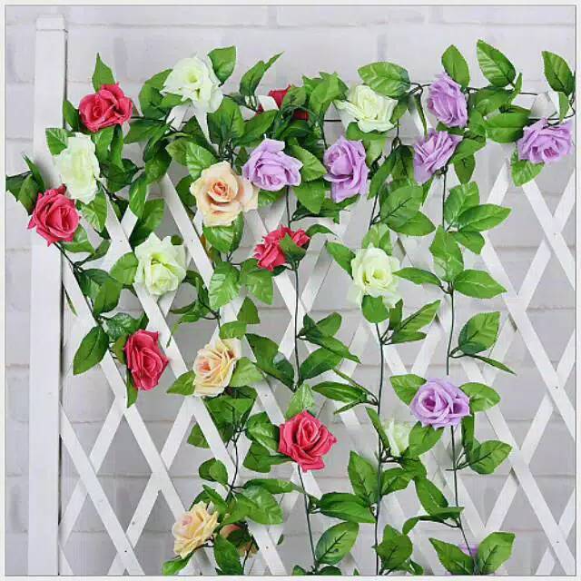 Jual Bunga dan daun Jalar | Shopee Indonesia