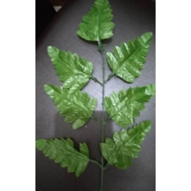 Jual Daun pakis artificial | Shopee Indonesia