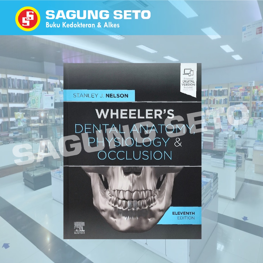 Wheelers Dental Anatomy