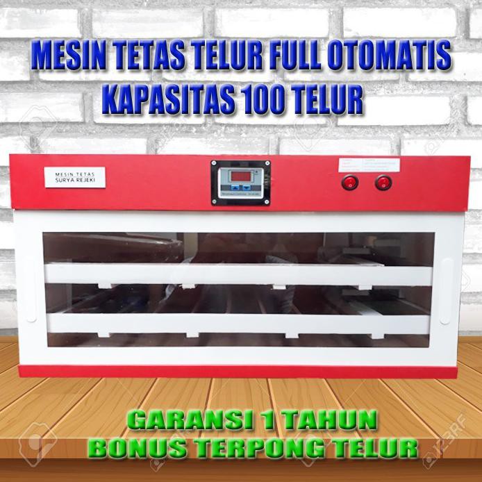 Jual MESIN PENETAS TELUR FULL OTOMATIS KAPASITAS 100 BUTIR TELUR AYAM BEBEK | Shopee Indonesia