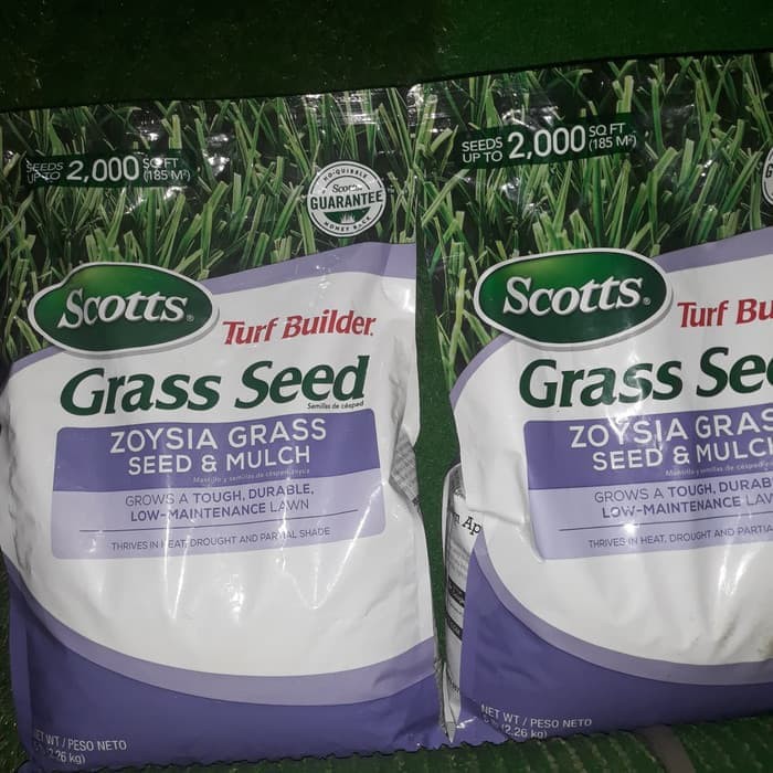 Jual benih biji rumput manila- benih rumput zoysia materela 1kg ...