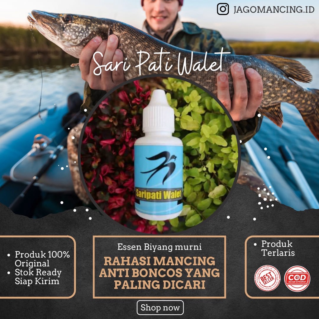 Jual Essen Saripati Walet Untuk Ikan Mas | Shopee Indonesia