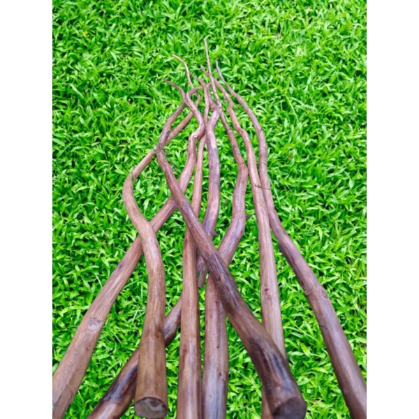 Jual Ranting jati jawa 2 meter (Teak wood branch) sudah hampelas dan ...