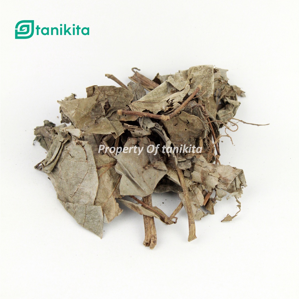 Jual Daun Sirih Kering 500gr - Daun Sirih Hijau Kering | Shopee Indonesia Jual Daun Sirih Kering 500gr - Daun Sirih Hijau Kering | Shopee Indonesia