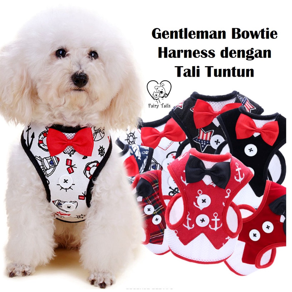 Jual Harness Tali Tuntun Anjing Kucing Model Gentleman Bowtie Rompi Jas ...