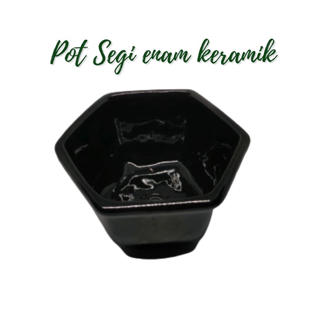 Jual Pot Segi enam keramik warna hitam ukuran 8 /pot bonsai | Shopee Indonesia