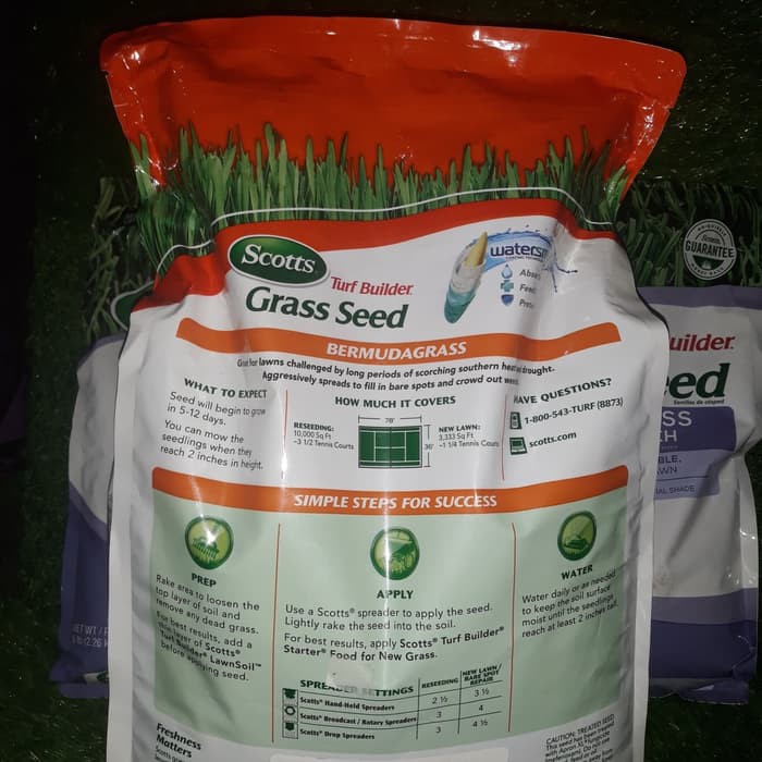 Jual benih biji rumput golf-bermuda grass seed-benih rumput lapangan ...