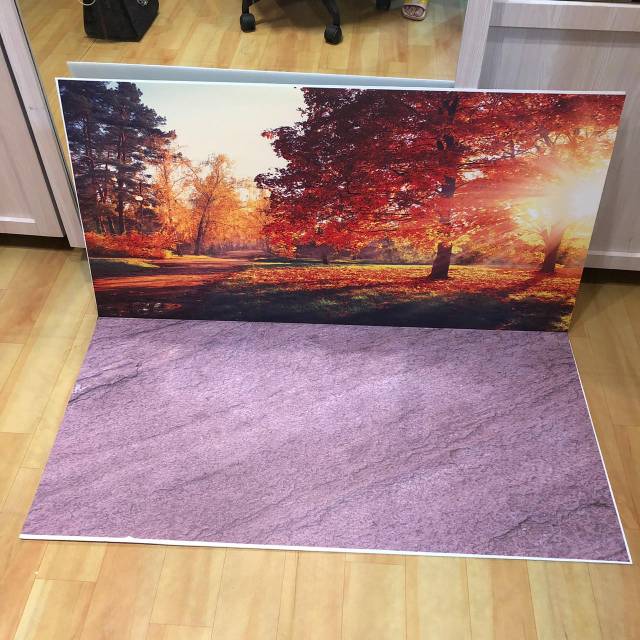 Jual Alas Foto Lipat Ukuran 100x100cm (Lapis Board) | Shopee Indonesia