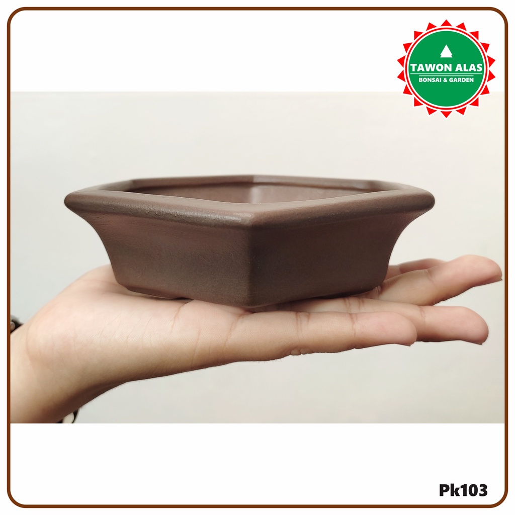 Jual Pot Bonsai Keramik Mame Segi Enam Ceper | Shopee Indonesia
